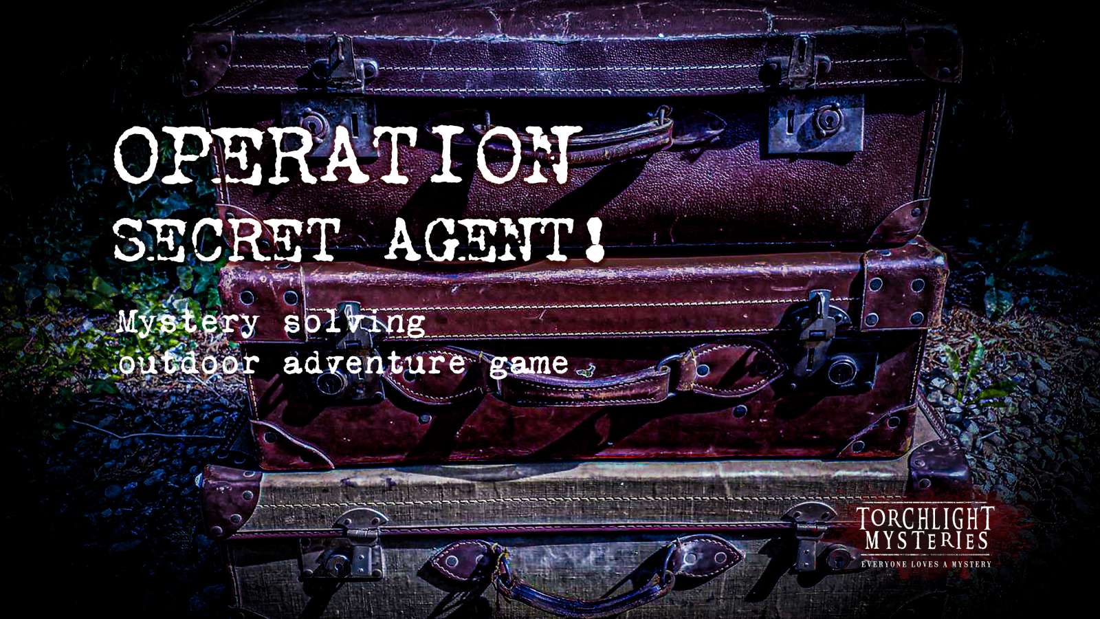 Murder Mystery and Escape Rooms by Torchlight Mysteries